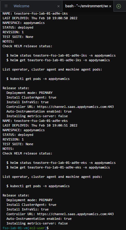Lab Environment – FSO Lab